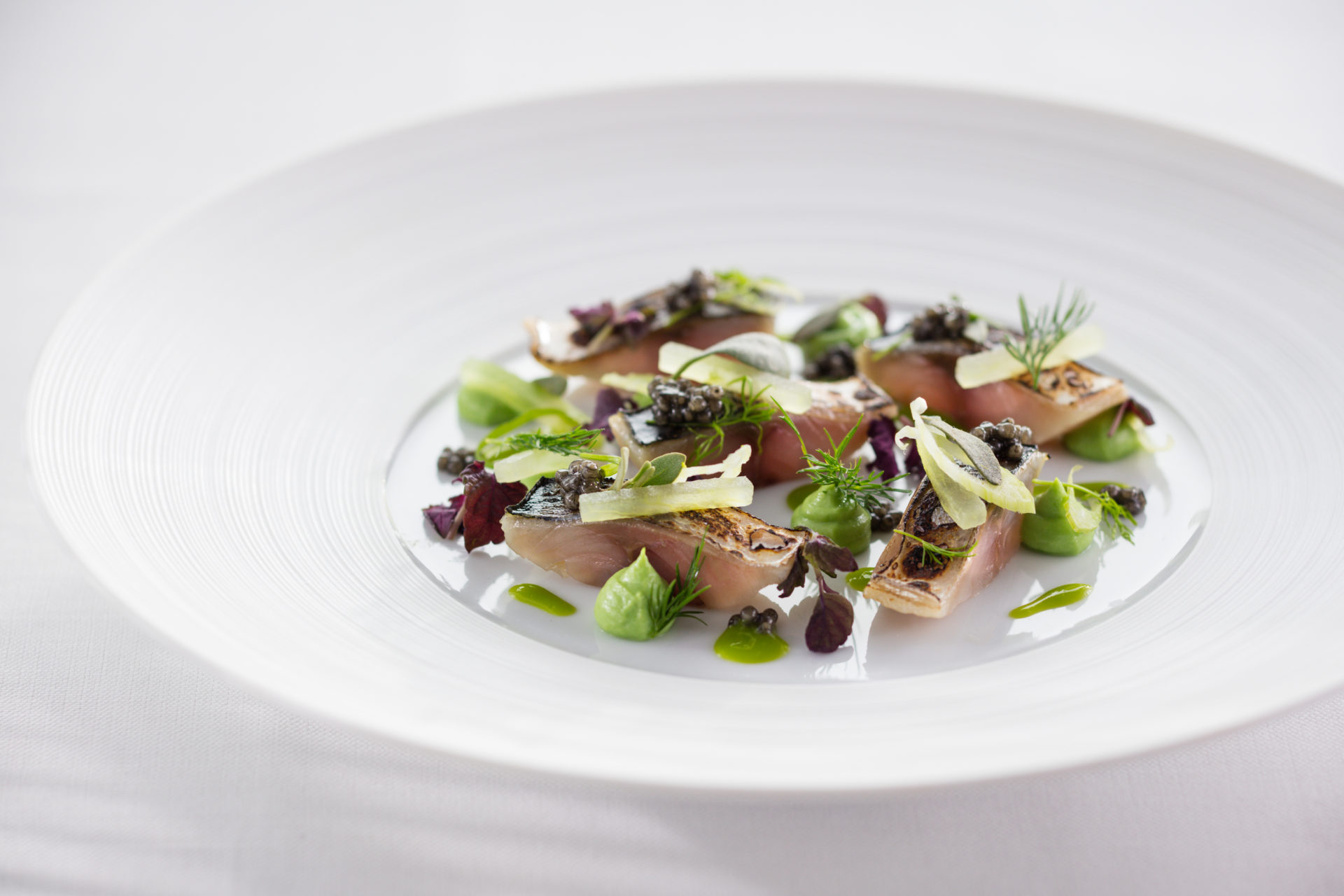 Chefs Recipe: Cured Mackerel with Avocado and Pickled Cucumber, by ...