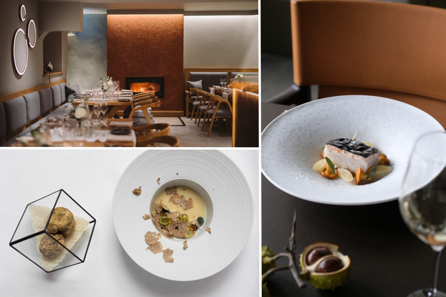 AA Rosette Awards 2024: New Winners of Culinary Excellence Revealed ...